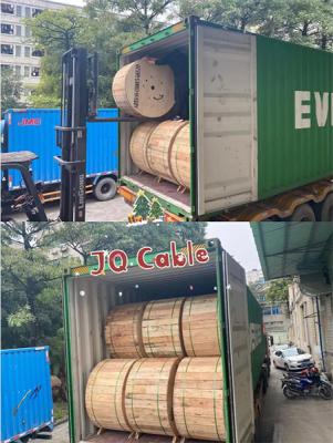 중국 모든 다이 일렉트릭 자 지원 ADSS 스판 100m 광섬유 케이블 24 코어 판매용