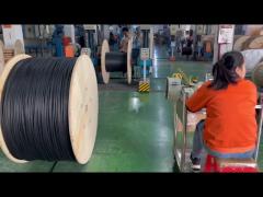 Underground GYTA GYTA53 Fiber Optic Cable 24 48 96 144 Core G652D SM Armored Cable Fiber Optic