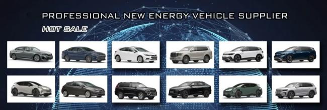 EV Car New Energy Car Sports Car Byd Seagull Haiou New Arrival Hatchback Mini China EV Car Cars Best Service Best Price for Hot