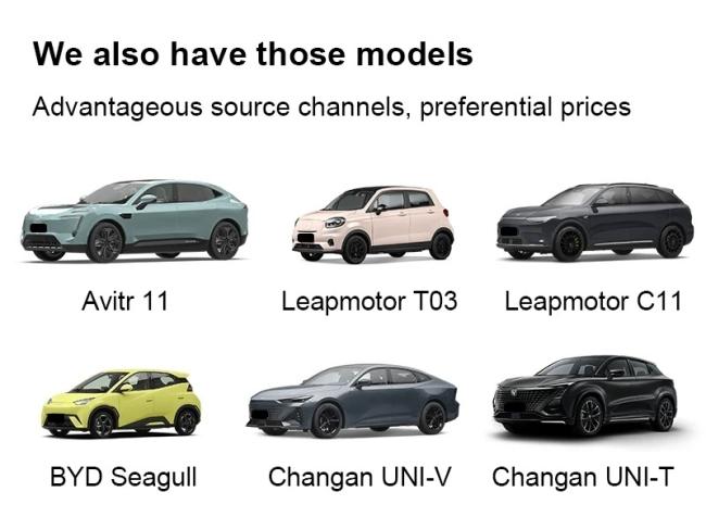 Byd Mini EV New 2024 Byd Seagull Fly 2024 405km 305km Range Seagull Leap Edition New Energy Car Pure Electric Car Byd Seagull