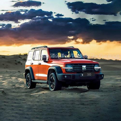 Hot Selling 2024 Great Wall off Road Motors Gwm Saibo Cyber Seacond Hand Tank 300