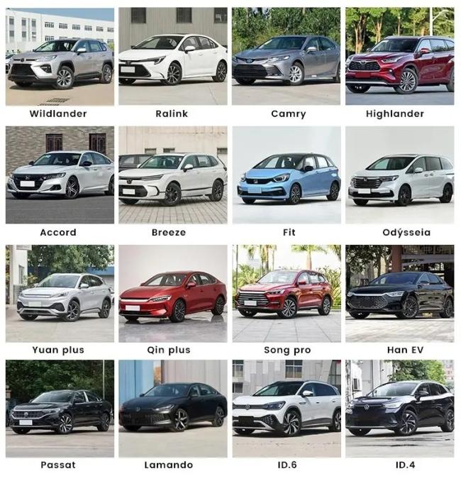 2023 Hongqi H9 Model 2.0t Zhilian Flag Chang Edition New Car