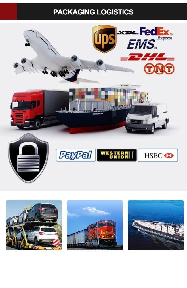 2023 Hongqi H9 Model 2.0t Zhilian Flag Chang Edition New Car