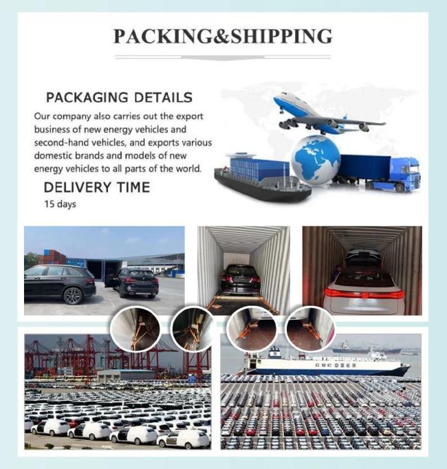 Gasoline Petrol Sedan 1.5t 2.0t Automatic Transmission Fuel Vehicles Cheap Car Hongqi H5