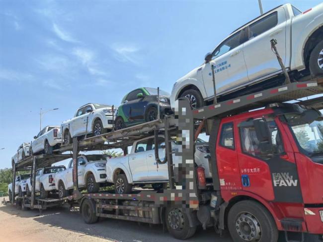 New Rich Pickup 4X2/4X4 Diesel Double Cabin Pickup Truck
