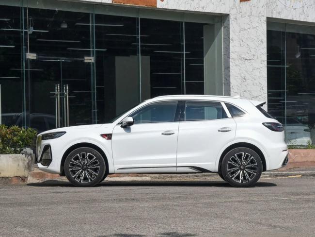 Hongqi HS5 PRO 2.0t High Performance Fwd/Awd SUV Made in China Fuel Vehicle