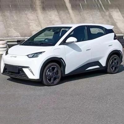 Cina Byd Seagull 2023 Free Edition Auto elettrica solare Prodotta in con chilometraggio massimo di 732 km in vendita