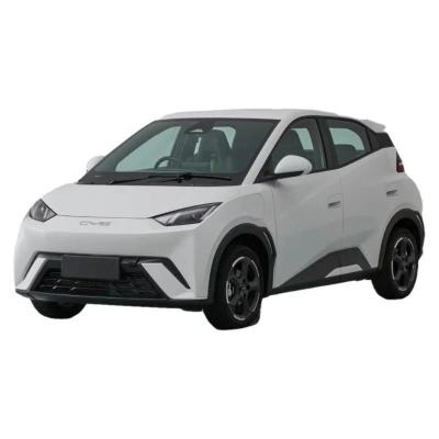 中国 620N M 最大トルク 三重型リチウム電池 バイド シガール 2023 フライング エディション 405km EV SUV 販売のため