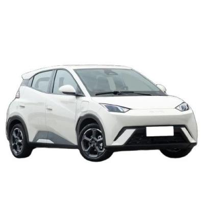 Cina Veicolo elettrico a quattro ruote completamente chiuso Byd Seagull EV 2023 800W e certificazione CCC in vendita