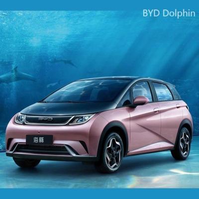 中国 電動移動に革命を起こす バイド・ドルフィン 800Wの電力とカスタマイズ 販売のため