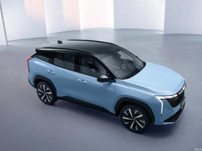 중국 맞춤형 요청 2024 Geely Boyue L 5 좌석 SUV 성인 가솔린 맞춤형 판매용