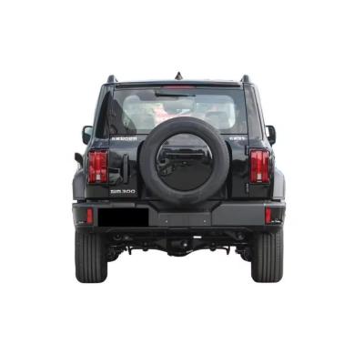 China 2024 Tank 300 4WD off-Road SUV 2.0T Third Anniversary Limited Edition Side Hinged Door for sale