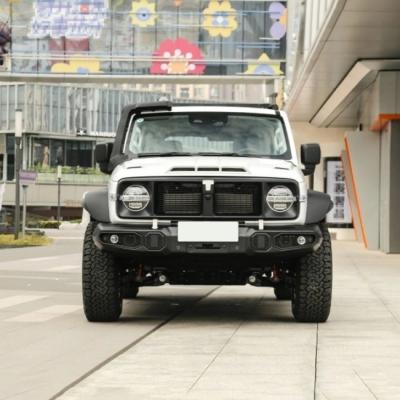 Cina Serbatoio di benzina 300 2023 Modello 2.0t Iron Rider 02 SUV Auto con 5 posti prestazioni in vendita
