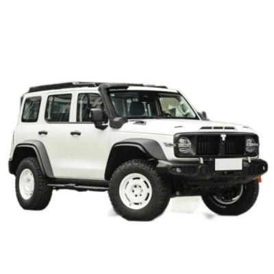 Cina Serbatoio di benzina 300 2023 Modello 2.0t Iron Rider 02 SUV Auto con 5 posti prestazioni in vendita