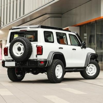 China Remote Guidance Great Wall Tank 300 2023 off-Road 2.0t Strong Cavalry 02 Gasoline Car for sale