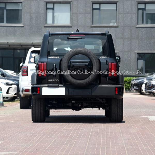 Quality Gwm Tank 300 City Edition Compact SUV 4 Wheel Petrol Gasoline Car 1967 Ml for sale