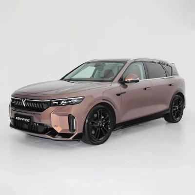China 2023 Voyah Free Intelligent Driving Edition EV Elektrische auto met 490 pk motor en 6 zitplaatsen Te koop