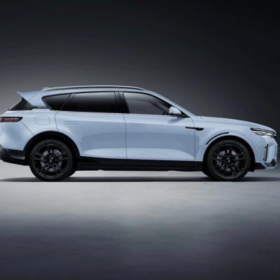 China Aanpassing Voyah Gratis Ultra Long Life Smart Driving Versie van Speed Electric Car Te koop