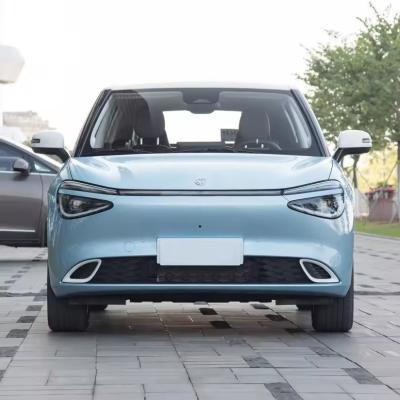 Cina Mercato sterzo sinistro Dongfeng Motor-Nano 01 2024 430 Plus con coppia massima 160 N.M. in vendita