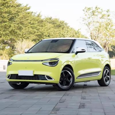 Cina Mercato sterzo sinistro Dongfeng Motor-Nano 01 2024 430 Plus con coppia massima 160 N.M. in vendita