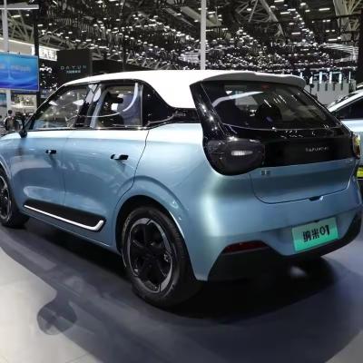 China Electric Car Dong Feng Nano Box 330km Customized Request Lite Air Plus Max Venucia Vx6 for sale