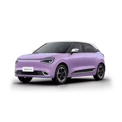 China Electric Car Dong Feng Nano Box 330km Customized Request Lite Air Plus Max Venucia Vx6 for sale