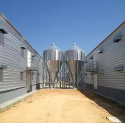 Interior view of steel frame poultry house