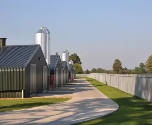 Custom steel structure farm building