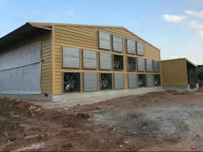 中国 プレハブ鉄骨構造 養鶏場 農家風 チキンファーム 鉄骨構造 販売のため