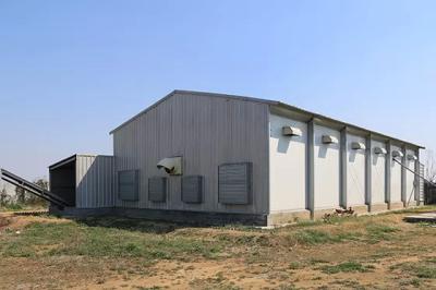 中国 プリエンジニアされた鋼鉄構造 鶏家Q355B スクエアチューブとHセクション 販売のため