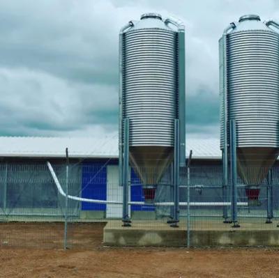 중국 50MM 가벼운 강철 닭고기 집 농장 쉐드 닭고기 미리 만든 닭고기 큐브 사용자 지정 색상 판매용