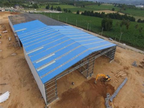 Quality 100% Recycled Innovative Steel Structures Cattle Cow Steel Framed Farm Buildings for sale