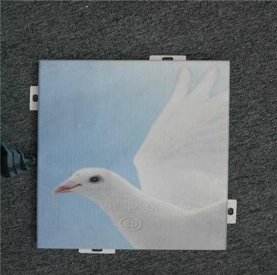 China 3D priting Aluminum ceiling panel for sale