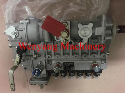China Bomba de injeção 49994681 das peças sobresselentes de China Cummins Engine da fonte à venda