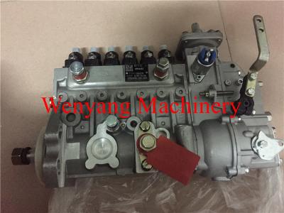 Cina Pompa ad iniezione dei pezzi di ricambio della Cina Cummins Engine del rifornimento 49994681 in vendita