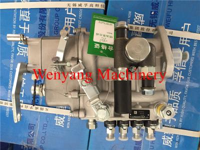 Cina fornisca la pompa originale 4PL106 di iniezione di carburante dei pezzi di ricambio del motore di YTO in vendita