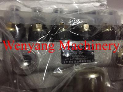 中国 燃料噴射装置ポンプ車輪の積込み機のエンジン部分Weichai WD10G 612601080591 販売のため