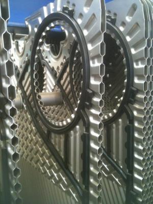 Cina OEM GEA Gaskets, manutenzione facile di operazione conveniente della guarnizione di EPDM in vendita