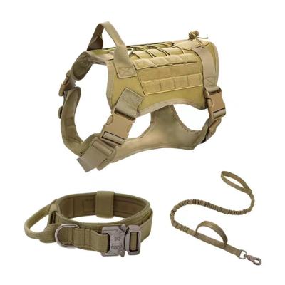 China Two Handle Training Dog Leash For Medium And Large Dogs Custom Nylon Tactical Dog Leash for sale