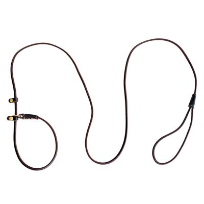 中国 小型中型犬用軽量調節可能で耐久性のあるペット本革スリップリード 販売のため