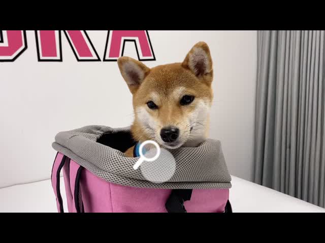Bike Basket For Dogs Cats Backpack Carrier Removeable Folding Pet Bicycle Front Basket