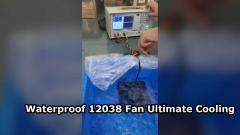 Waterproof DC fan 12038