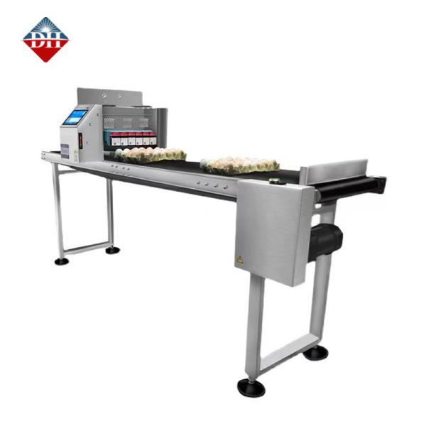 Six Nozzle Automatic Egg Spray Coding Machine Printing