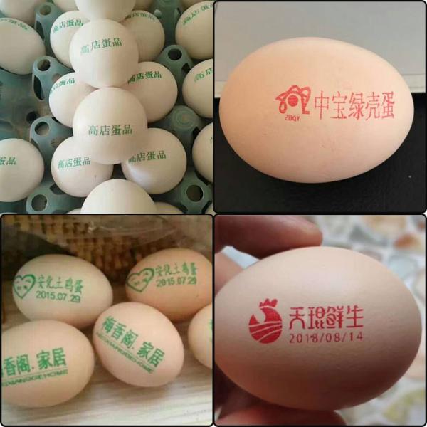 Six Nozzle Automatic Egg Spray Coding Machine Printing