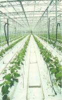 China Hydroponic Stonewool Grow Cubes 60-100kg/m³ Density with 1000mm Length for Agriculture for sale