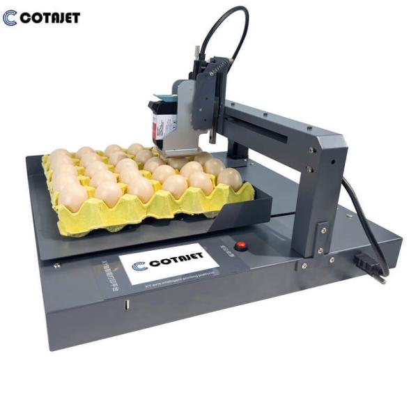 Quality 300DPI -600DPI Egg Coding Machine / Egg Inkjet Printer With Printing On Eggs And Egg Cartons for sale