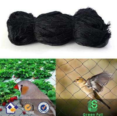 China HDPE anti bird knotted netting for bird trap from china, catching bird net,bird protection netting for sale