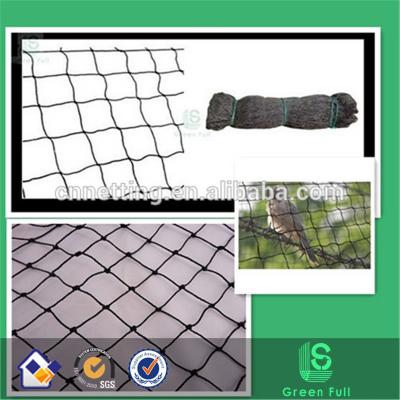 China Low price & High quality Plastic knotted anti bird net pigeon netting suppliers(factory) for sale