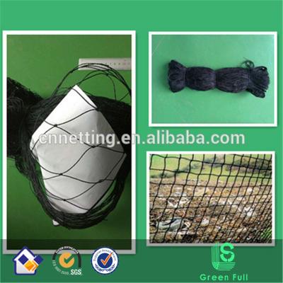 China Good quality Black Color 600D/6PLY knotted Anti bird Netting Anti Swallow net Anti pigeon net(Square Mesh 3/4