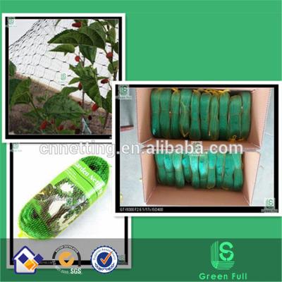 China Green PE Extruded Anti Bird 4m x20m per Roll Anti-bird Netting for sale